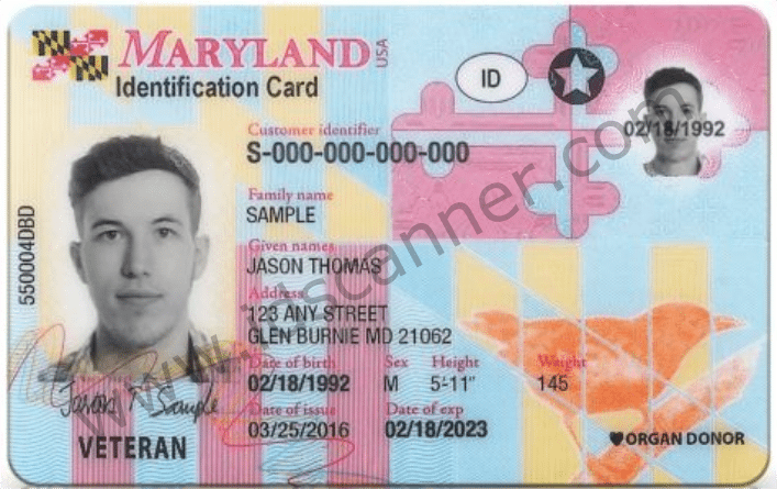 maryland-protected-maryland-proud-maryland-license-modernized