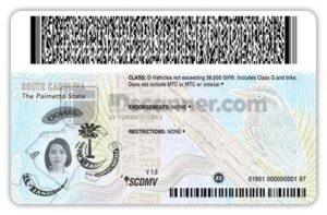 South Carolina's New 2025 Driver's License: 40+ Security Features You ...
